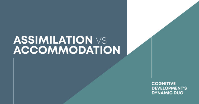 Assimilation vs Accommodation: Piaget’s Concepts Explained