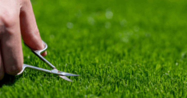 OCD vs ADHD - Key Differences and Traits Explained